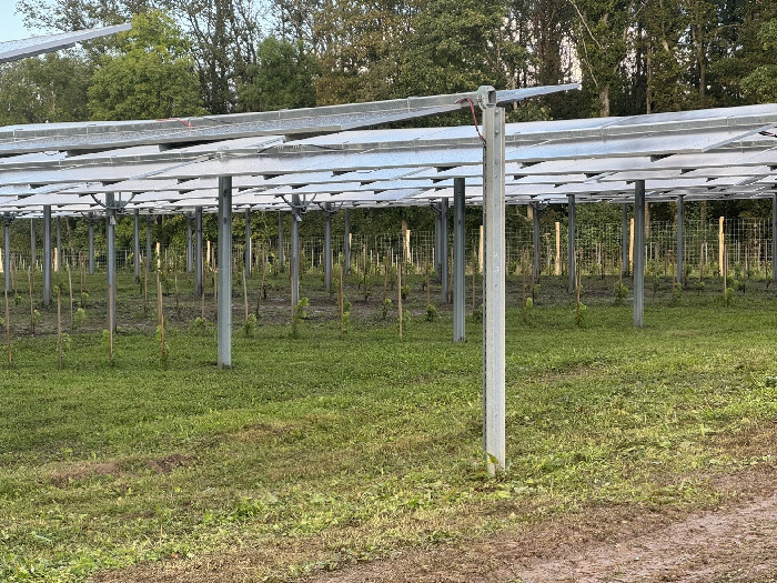 RTBF Info :: Manon Gouverneur